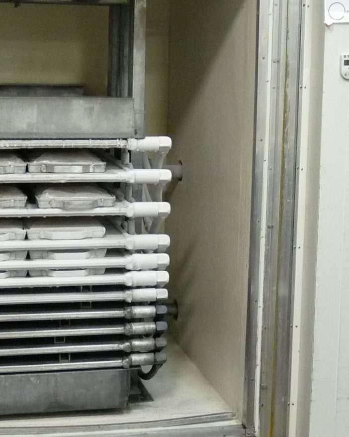 Queensland Scallops - Urangan Fisheries